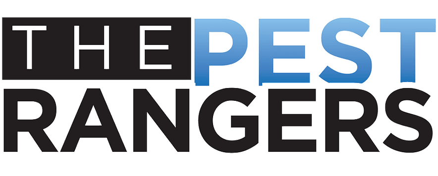 What Does DEET Mean? Is it Safe? We Provide the Answers.