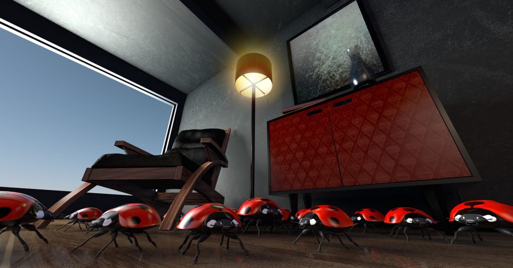 9 Fall Pest Control Tips: Prep for These 5 Major Pests - The Pest Rangers