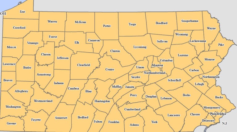 Pennsylvania Bug ID Guide: Top 25 Most Common Types